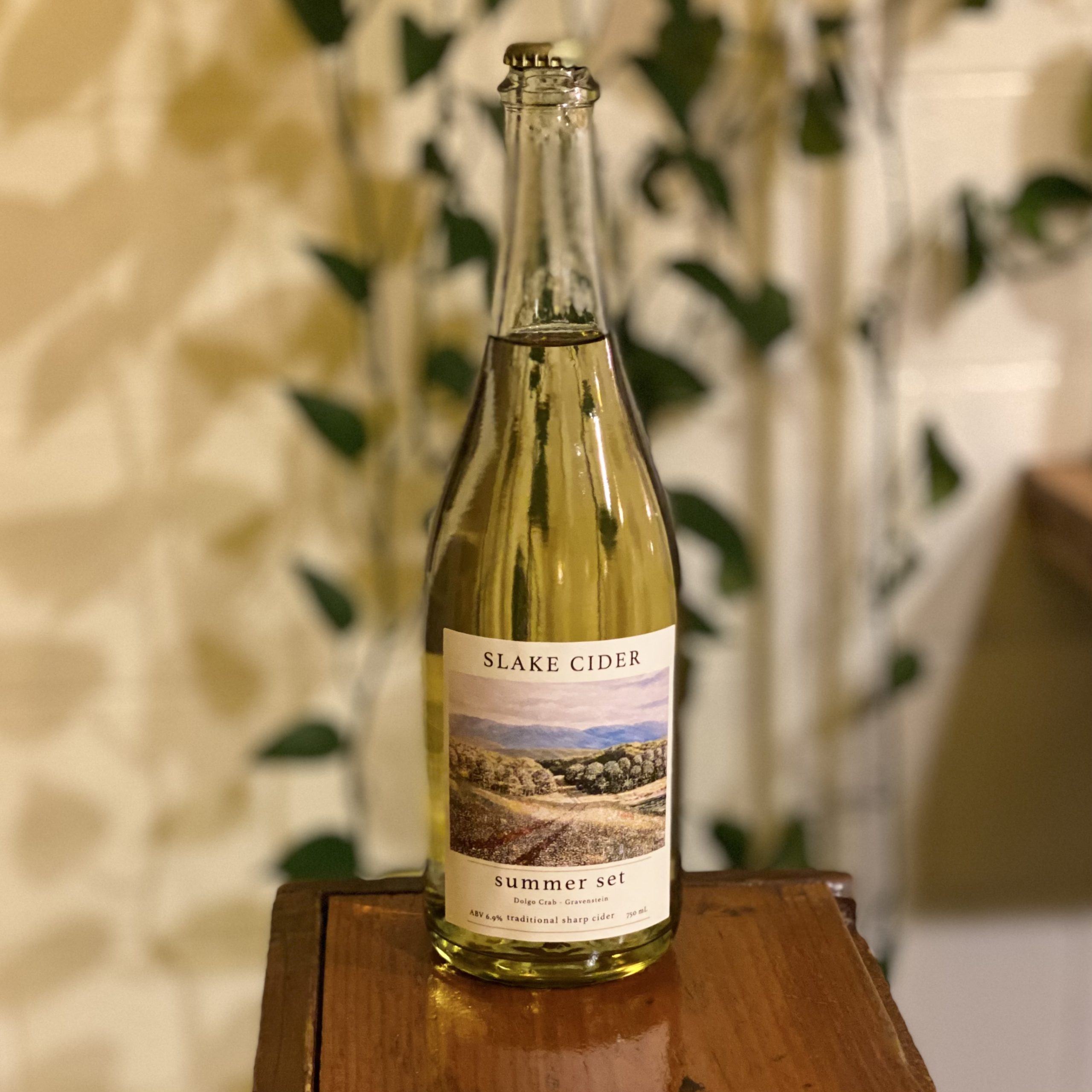 Slake - Summer Set - The Place PDX